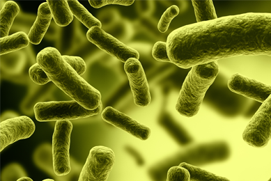 Use of Recombinant Bacteria with Unique Tags as Spike-in Controls for ...