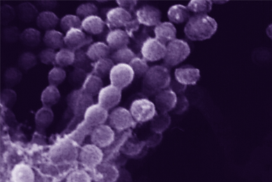 Preceptrol Cultures | ATCC