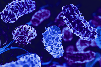 Antimicrobial Effectiveness Testing | ATCC