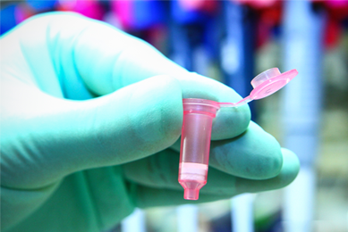 Working Cell Bank Manufacturing | ATCC