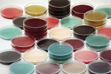 Introduction to Microbiology | ATCC