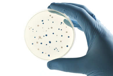 Microbiological Enumeration Tests | ATCC