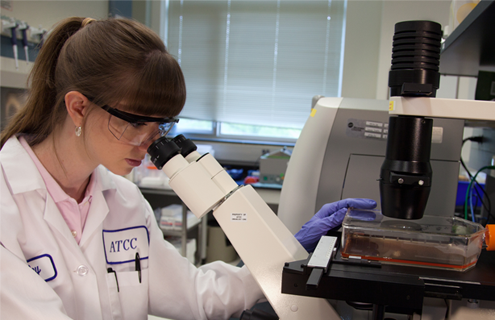 Mouse Embryonic Stem Cells | ATCC