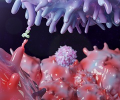 Applications for Cell Products | ATCC