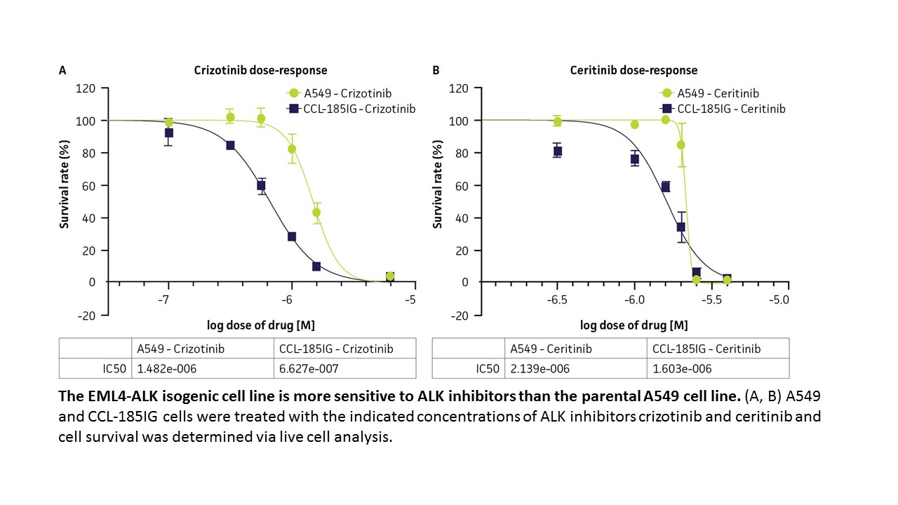 EML4-ALK Fusion-A549 Isogenic Cell Line Human - CCL-185IG | ATCC