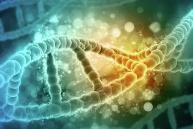 Mining the ATCC Genome Portal: Genomic Insights into Unsequenced Taxa ...